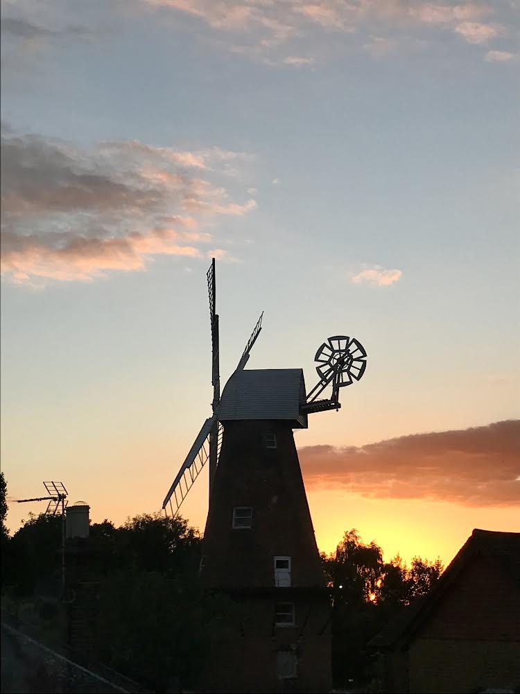 Inky Dog StudioExploring Nature through Printmaking...windmill