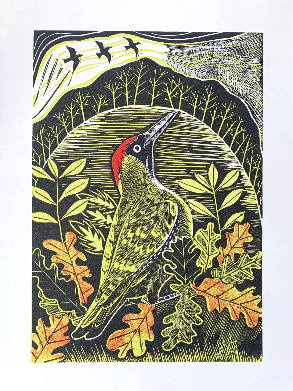 Inky Dog StudioExploring Nature through Printmaking...woodpecker