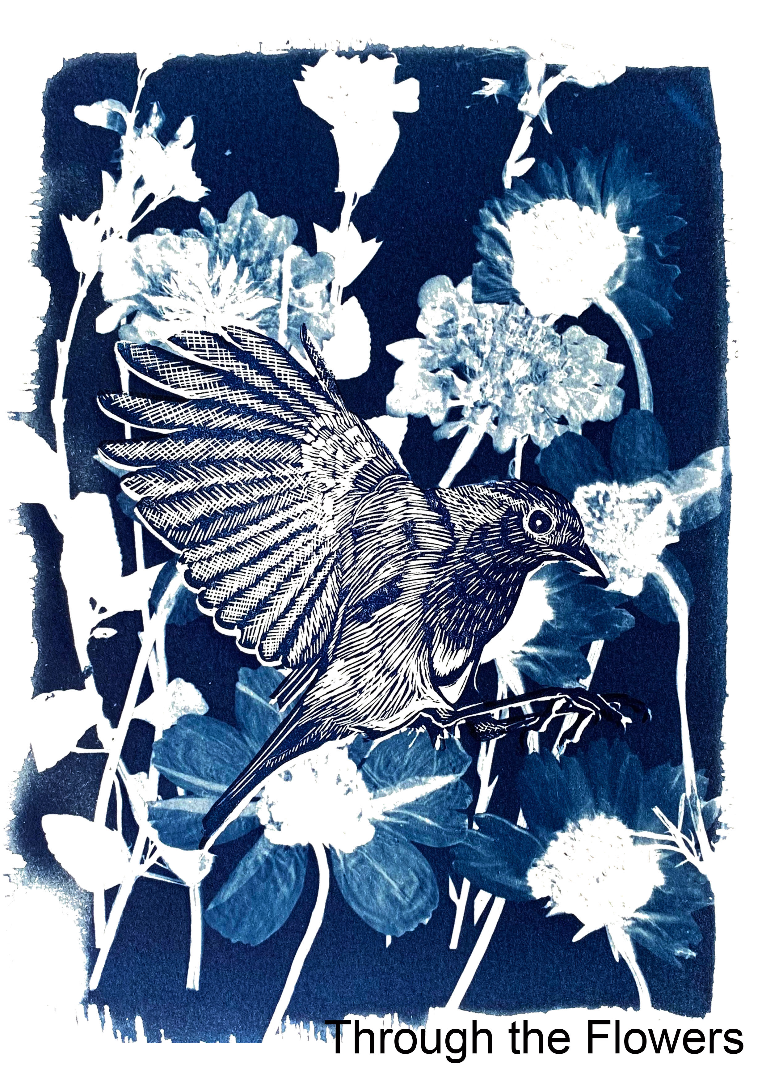 Inky Dog StudioExploring Nature through Printmaking...Through The Flowers