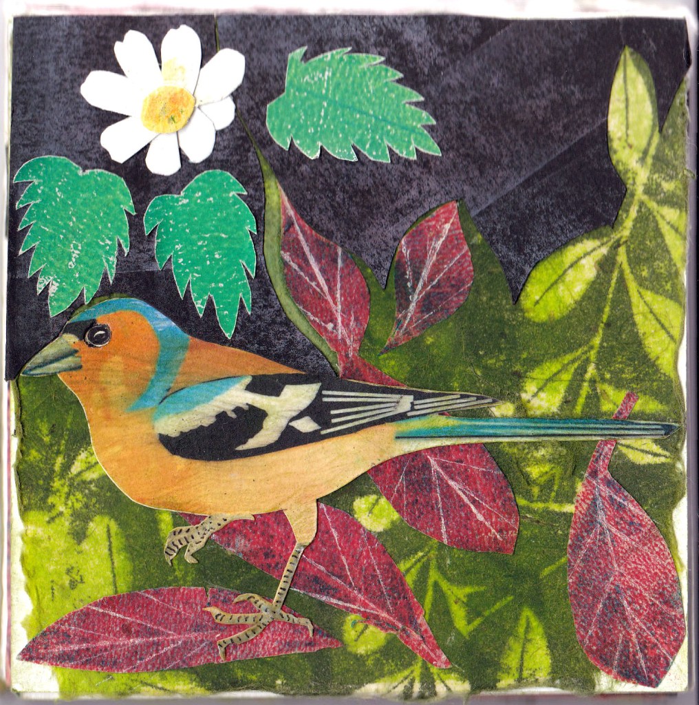 Inky Dog StudioExploring Nature through Printmaking...A Gallery of ...