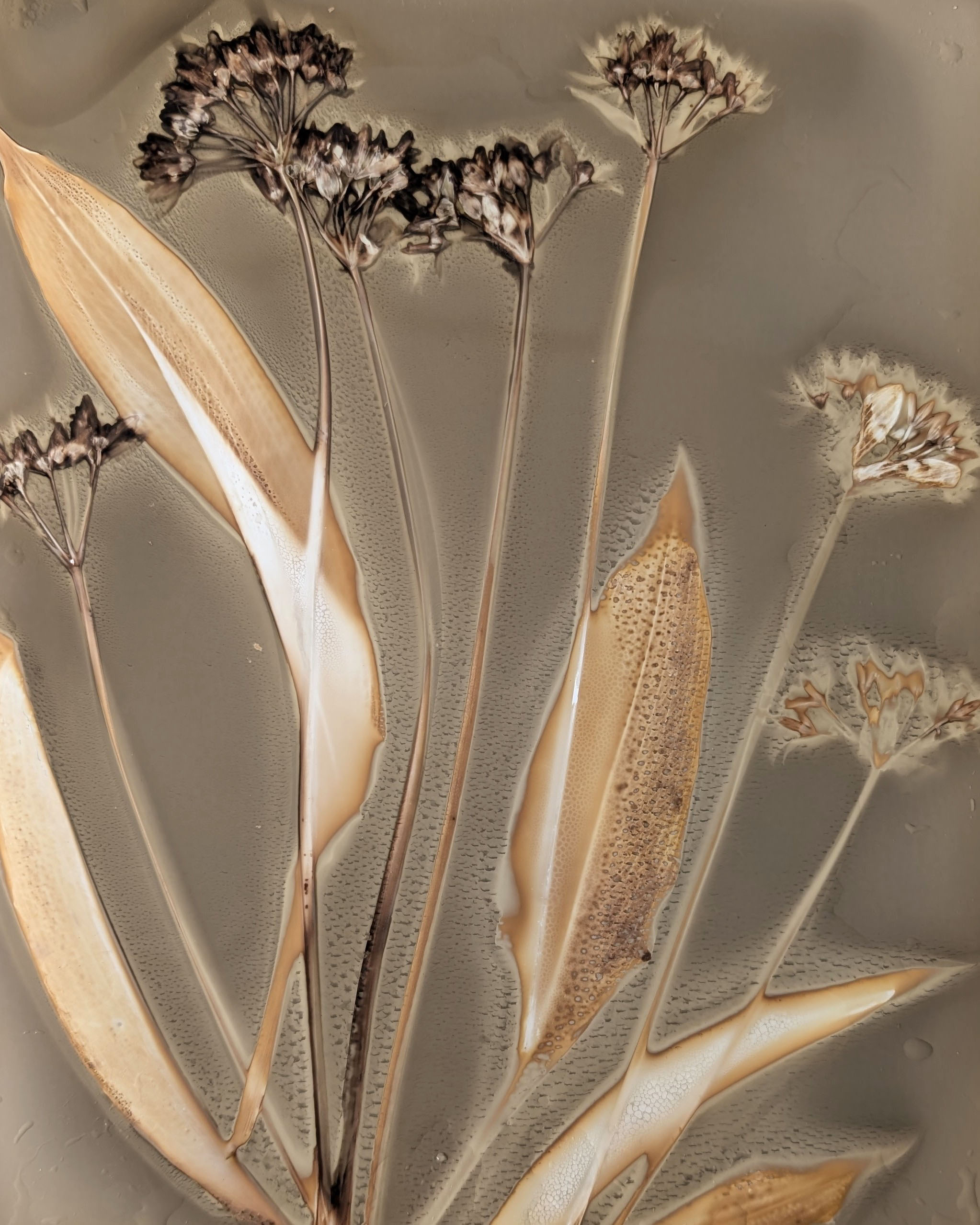 Inky Dog StudioExploring Nature through Printmaking...PXL_20250502 ...